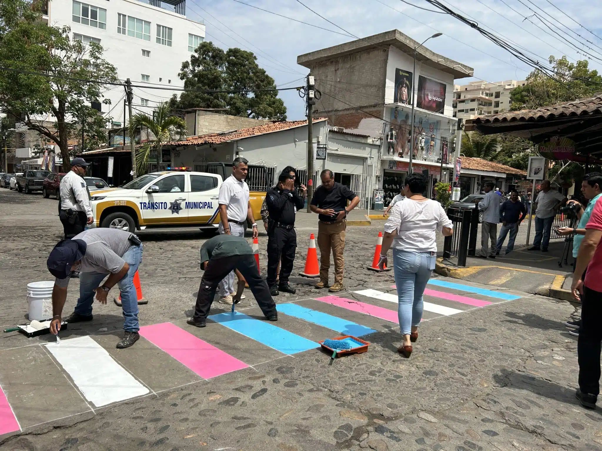 Trans Colors Highlight Crosswalks as Part of World Pride Day