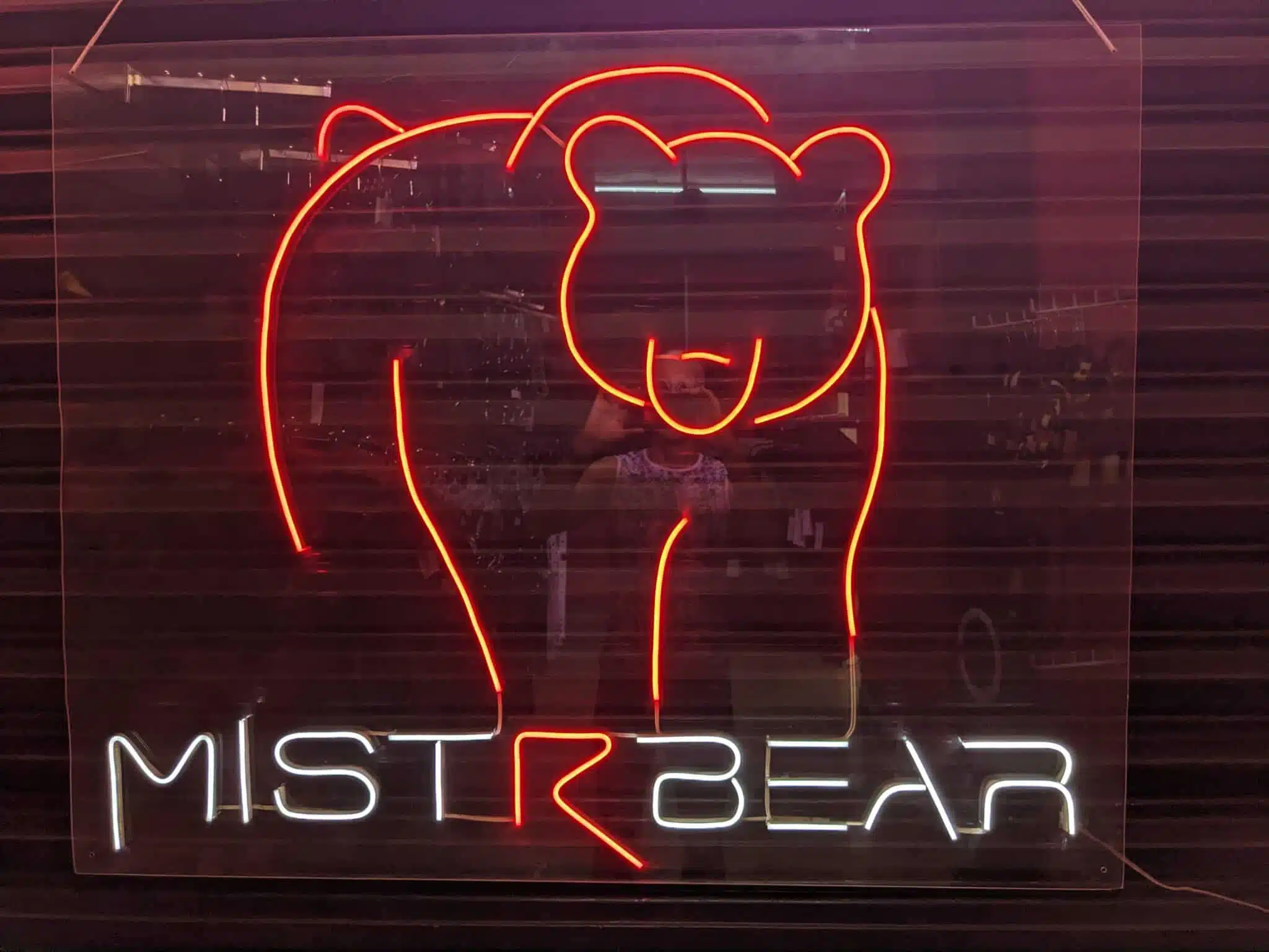 MISTRBEAR & CO Expands to Puerto Vallarta, Offering Clothing, Art and More Out and About Puerto ...