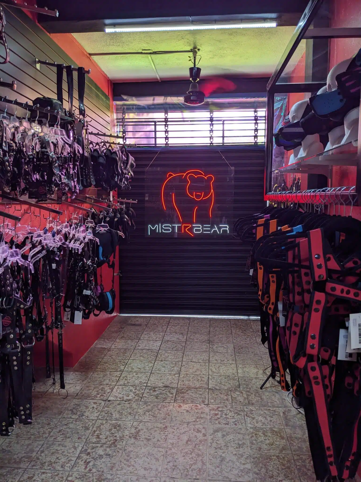 MISTRBEAR & CO Expands to Puerto Vallarta, Offering Clothing, Art and More Out and About Puerto ...