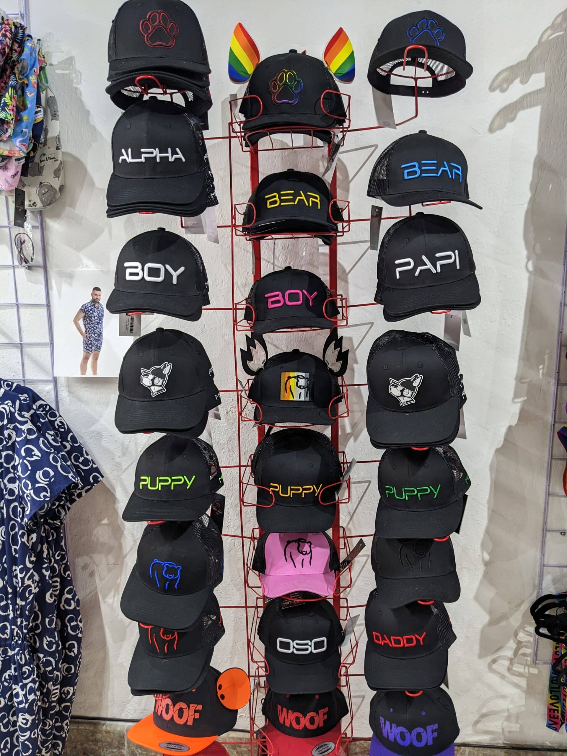 MISTRBEAR & CO Expands to Puerto Vallarta, Offering Clothing, Art and More Out and About Puerto ...