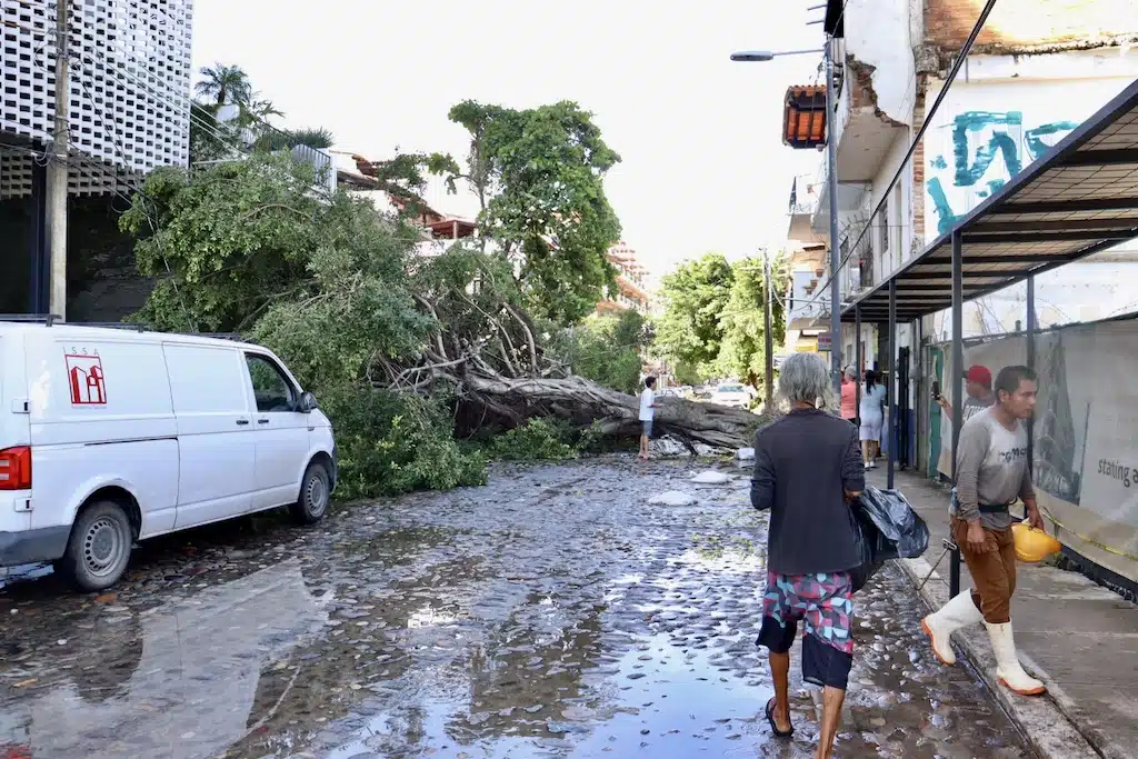 The Aftermath of Hurricane Lidia: What You Need to Know