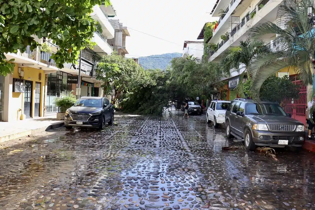 The Aftermath of Hurricane Lidia: What You Need to Know