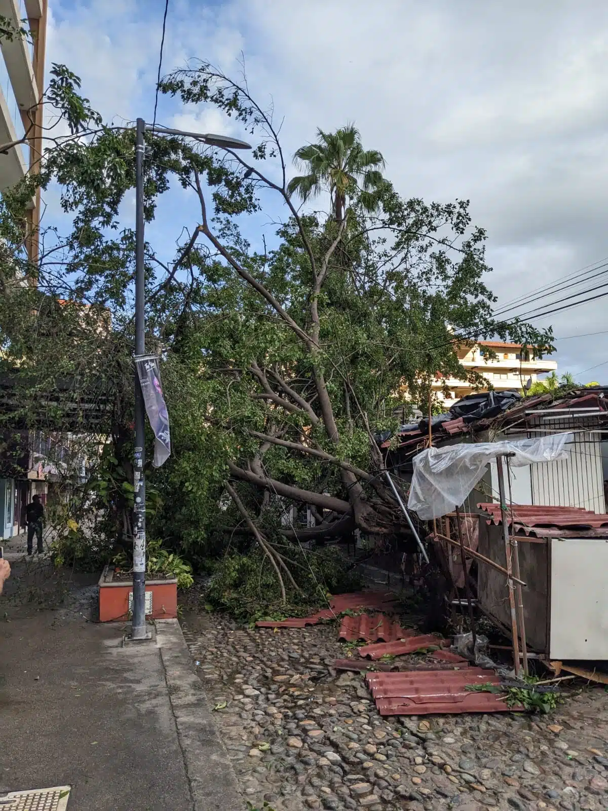 The Aftermath of Hurricane Lidia: What You Need to Know