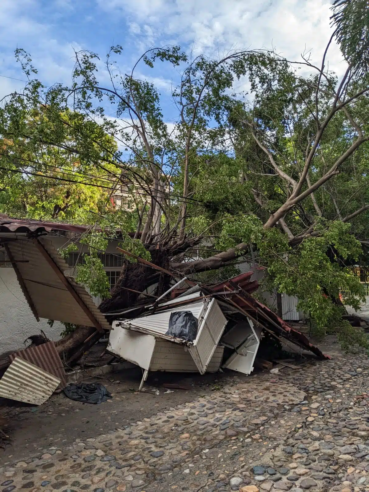 The Aftermath of Hurricane Lidia: What You Need to Know