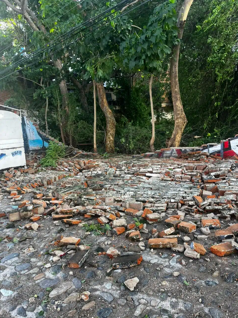 The Aftermath of Hurricane Lidia: What You Need to Know