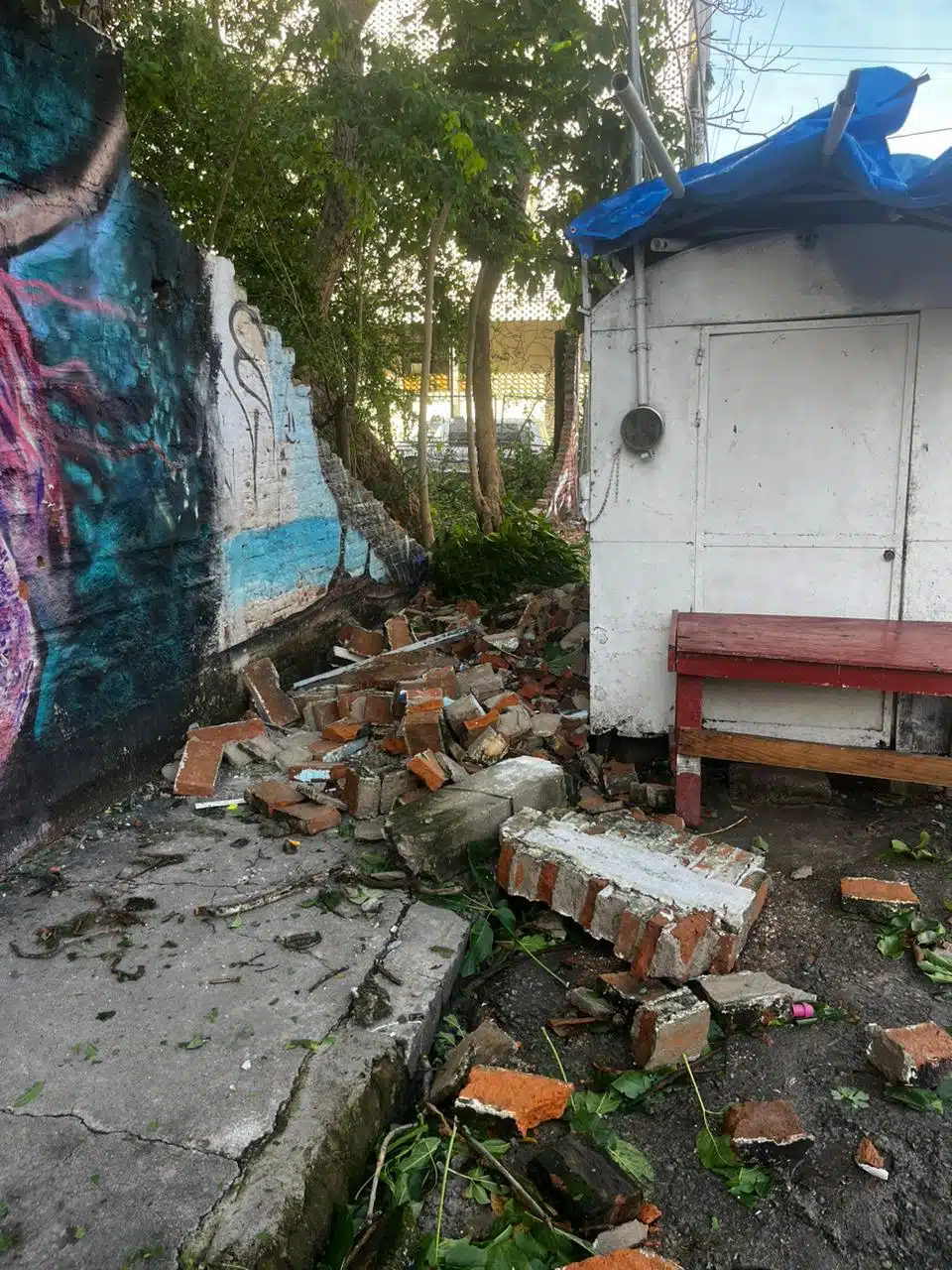 The Aftermath of Hurricane Lidia: What You Need to Know