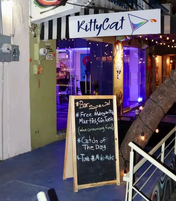 Sip and Savor at the Intimate Bar of Kitty Cat