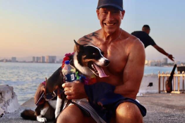 Pride Pups Strut Their Stuff at Puerto Vallarta Pride Sunset Dog Walk ... Pride Pups Strut Their Stuff at Puerto Vallarta Pride Sunset Dog Walk ...
