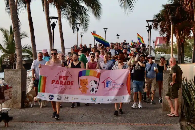 Pride Pups Strut Their Stuff at Puerto Vallarta Pride Sunset Dog Walk ... Pride Pups Strut Their Stuff at Puerto Vallarta Pride Sunset Dog Walk ...