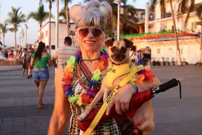 Pride Pups Strut Their Stuff at Puerto Vallarta Pride Sunset Dog Walk ... Pride Pups Strut Their Stuff at Puerto Vallarta Pride Sunset Dog Walk ...