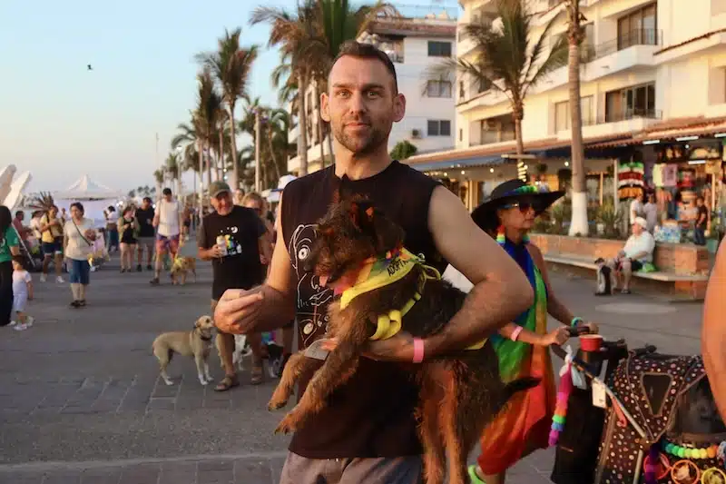 Pride Pups Strut Their Stuff at Puerto Vallarta Pride Sunset Dog Walk ... Pride Pups Strut Their Stuff at Puerto Vallarta Pride Sunset Dog Walk ...