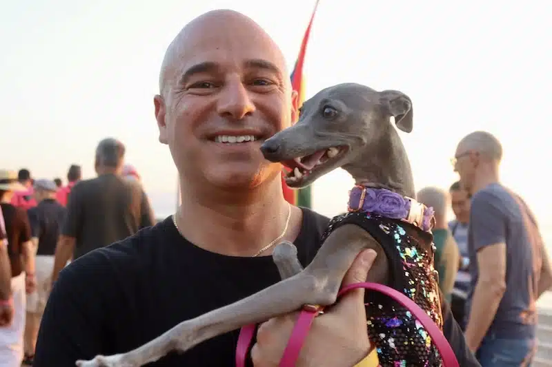Pride Pups Strut Their Stuff at Puerto Vallarta Pride Sunset Dog Walk ... Pride Pups Strut Their Stuff at Puerto Vallarta Pride Sunset Dog Walk ...