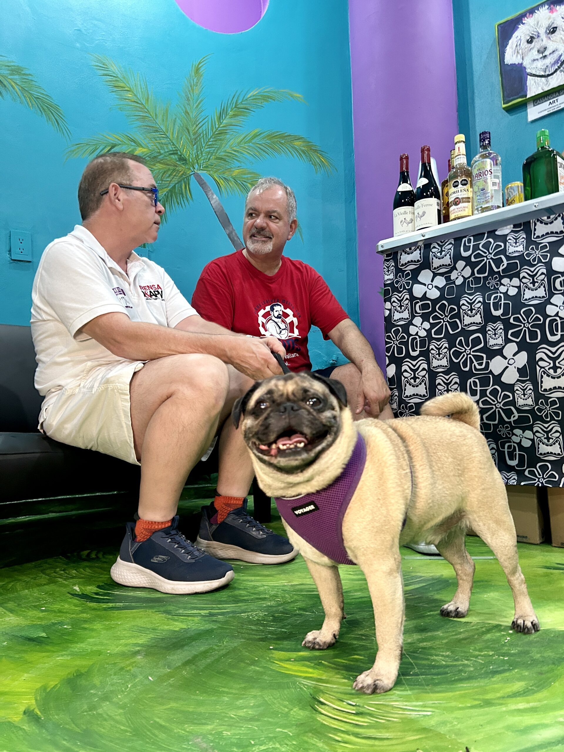 Photos: Dog Mixer at Dog and Cat